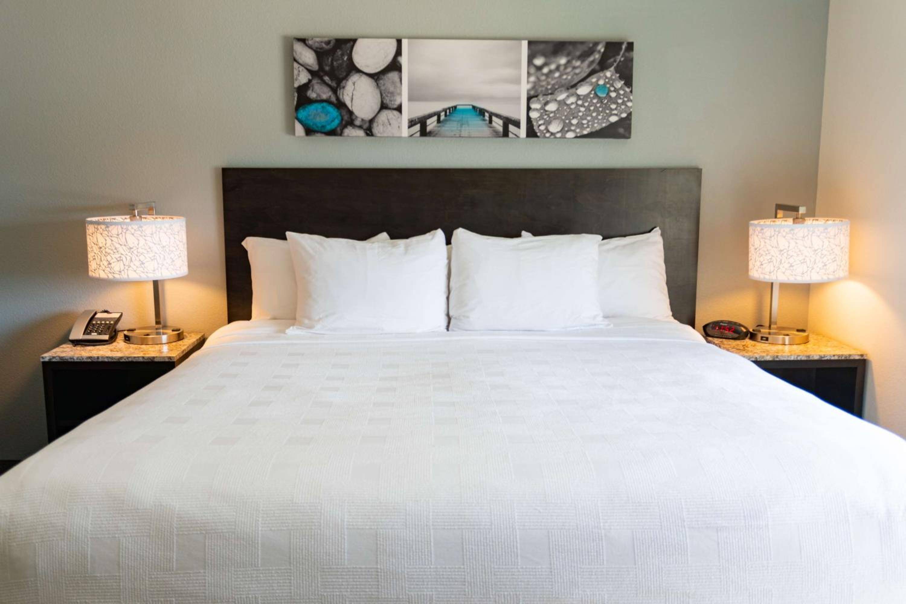 Magnolia Pointe; BW Signature Collection, Sarasota : -28% during the ...